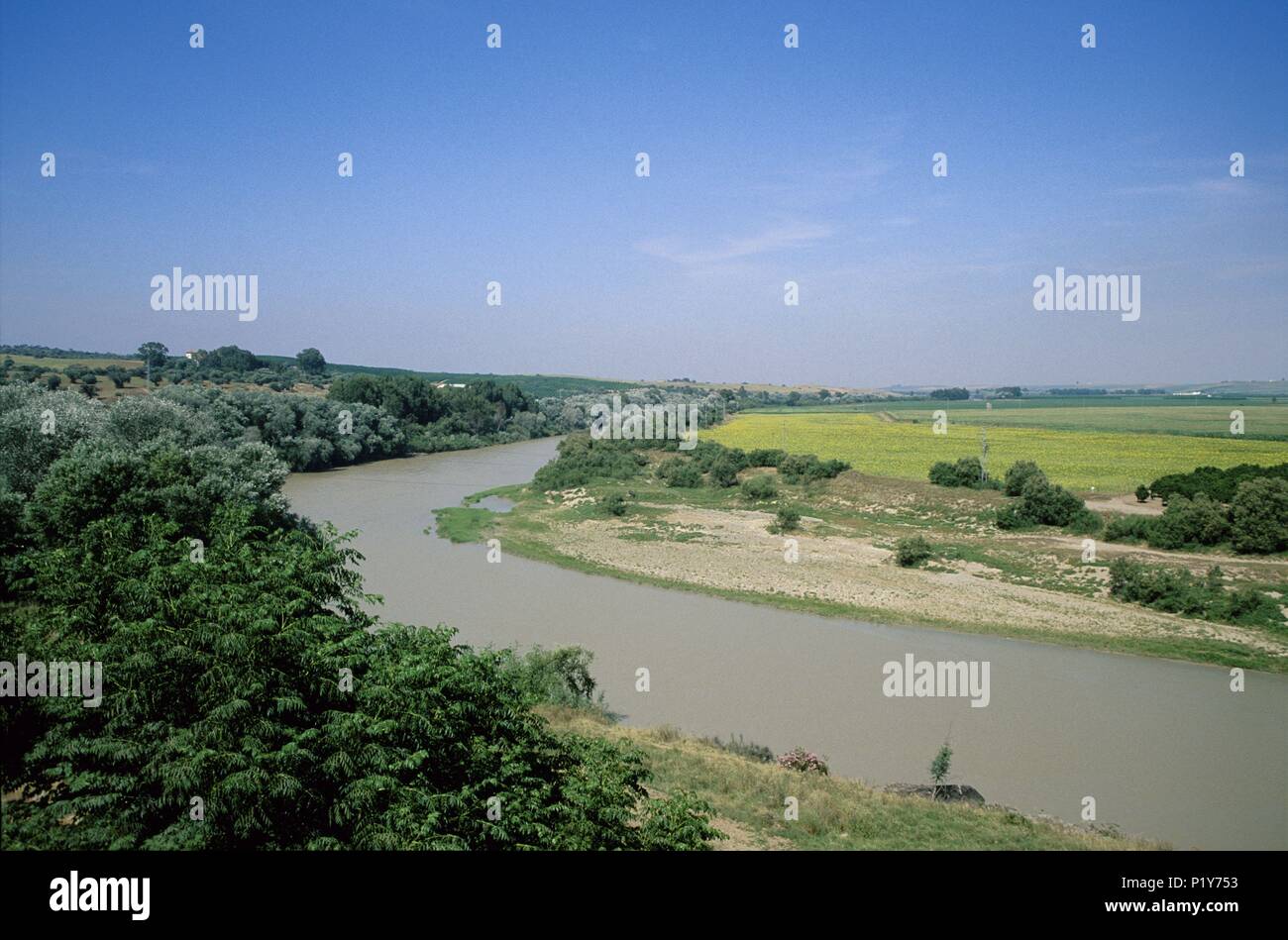 Palma del rio, spain hi-res stock photography and images - Alamy