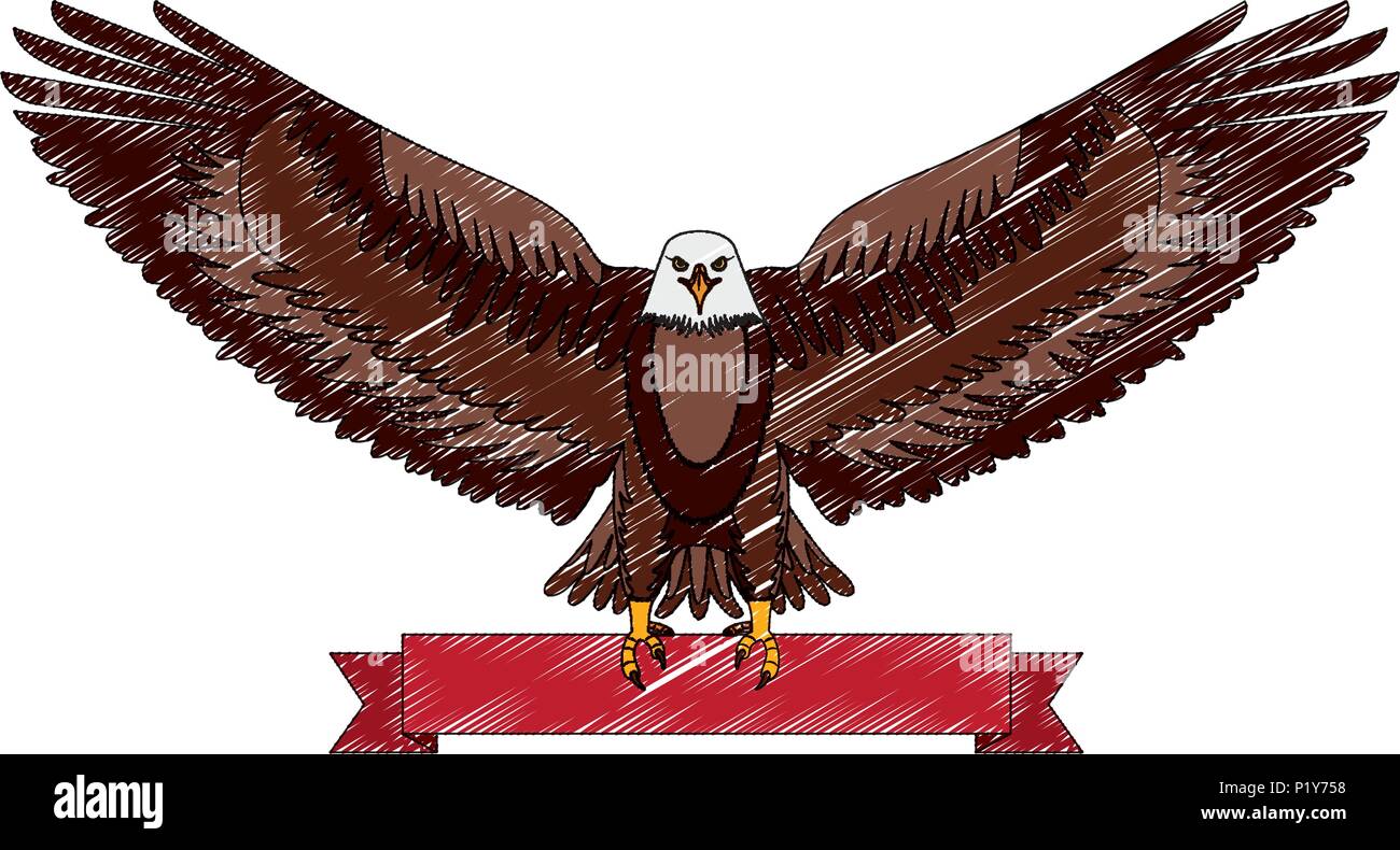 american eagle national red ribbon symbol vector illustration drawing ...