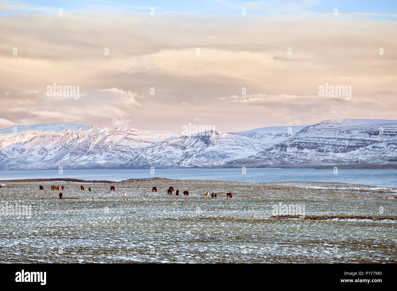 Icelandic sunset hi-res stock photography and images - Alamy