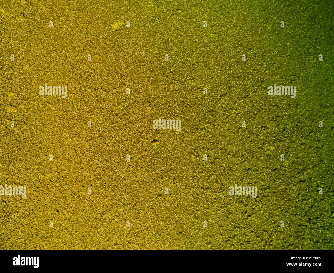 River bottom texture hi-res stock photography and images - Alamy