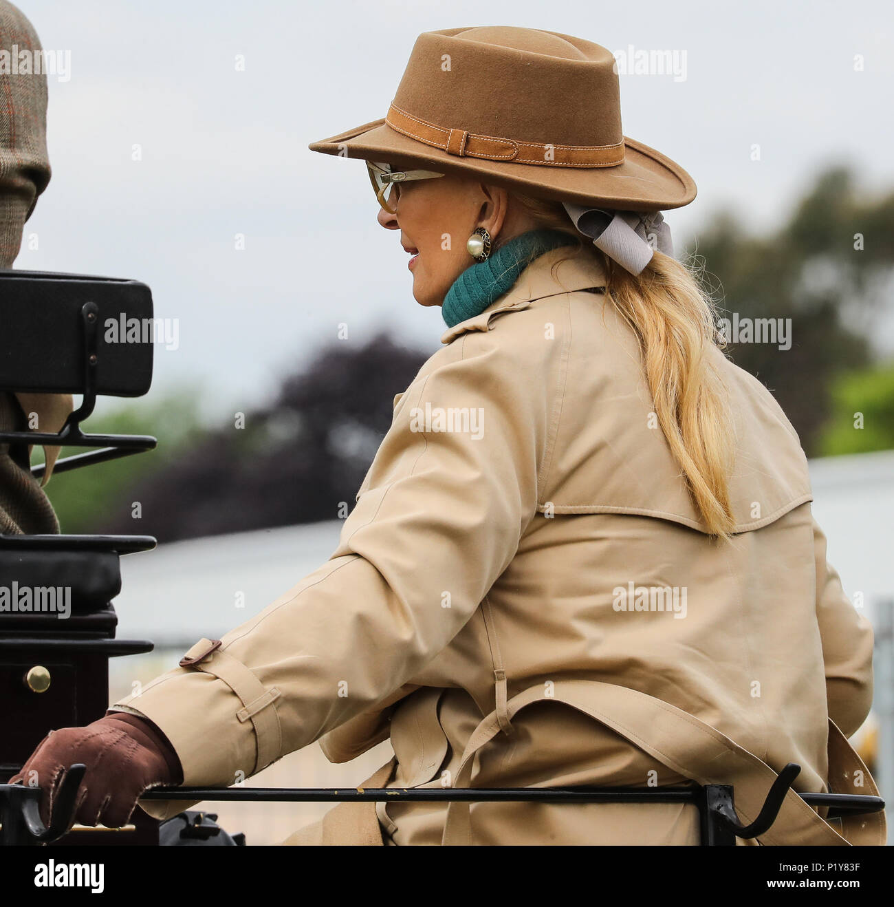 Royal Windsor Horse Show - Day 5 Featuring: Princess Michael of Kent ...