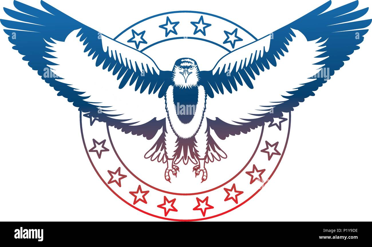 american bald eagle circular emblem vector illustration design Stock ...