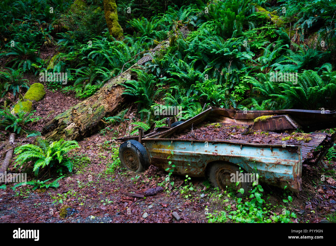 rear end of old truck Stock Photo - Alamy