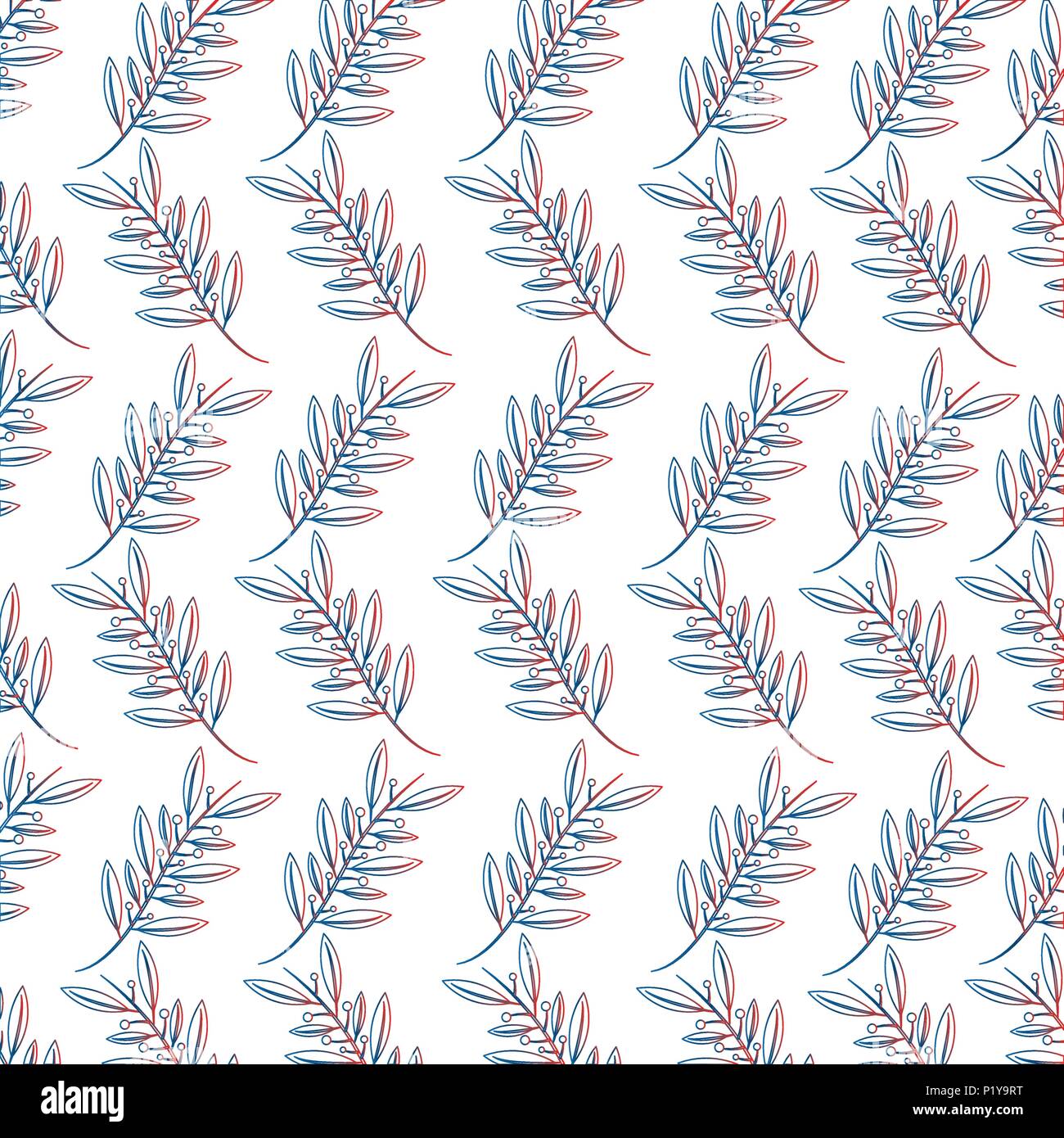 branches natural seeds botanical design background vector illustration ...
