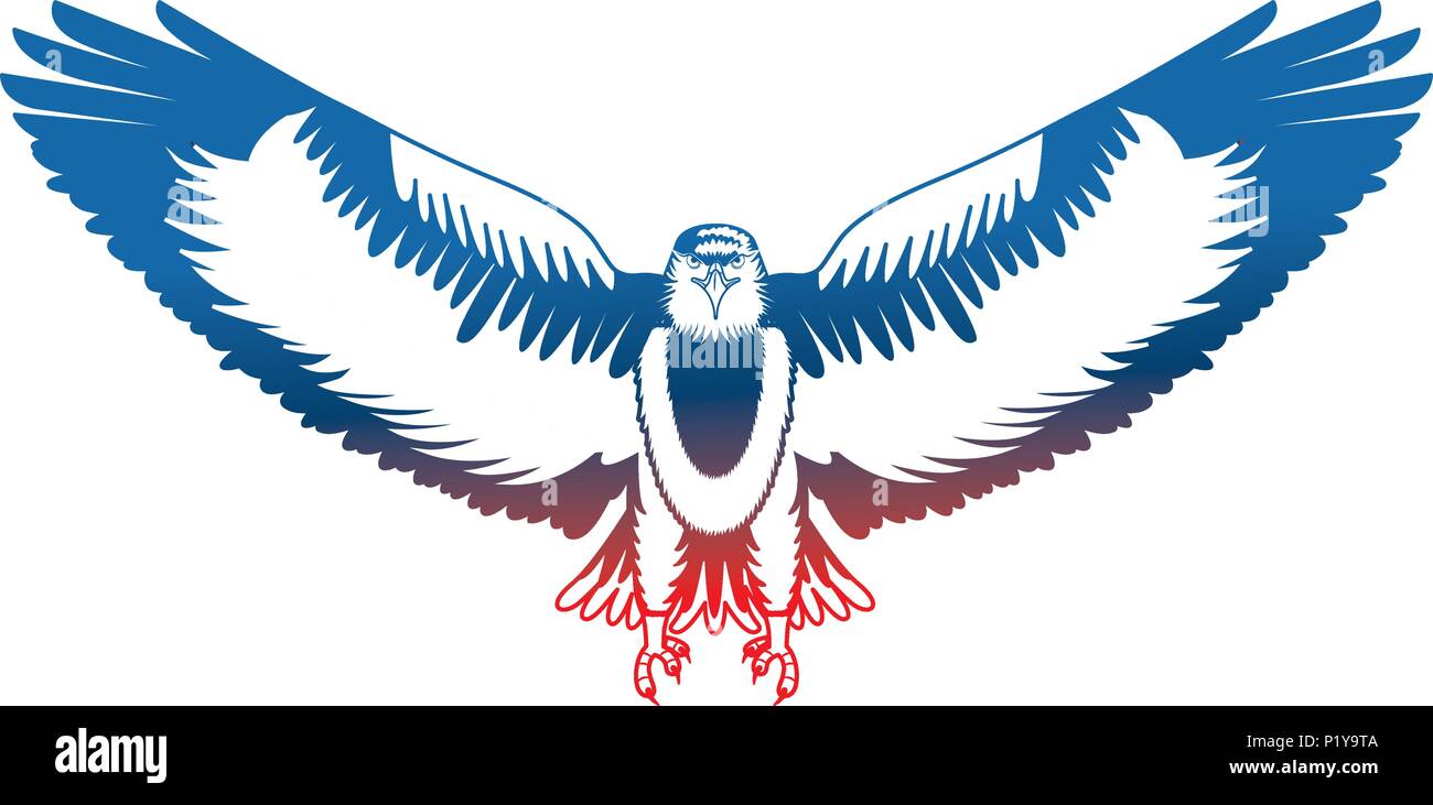 american eagle open wings bird vector illustration Stock Vector Image ...