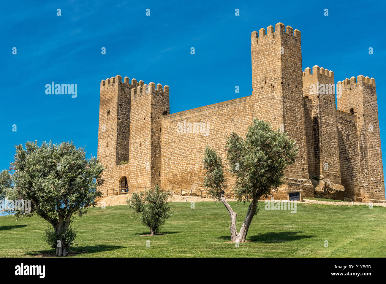 Spain, autonomous community of Aragon, Castle of Sabada Stock Photo - Alamy