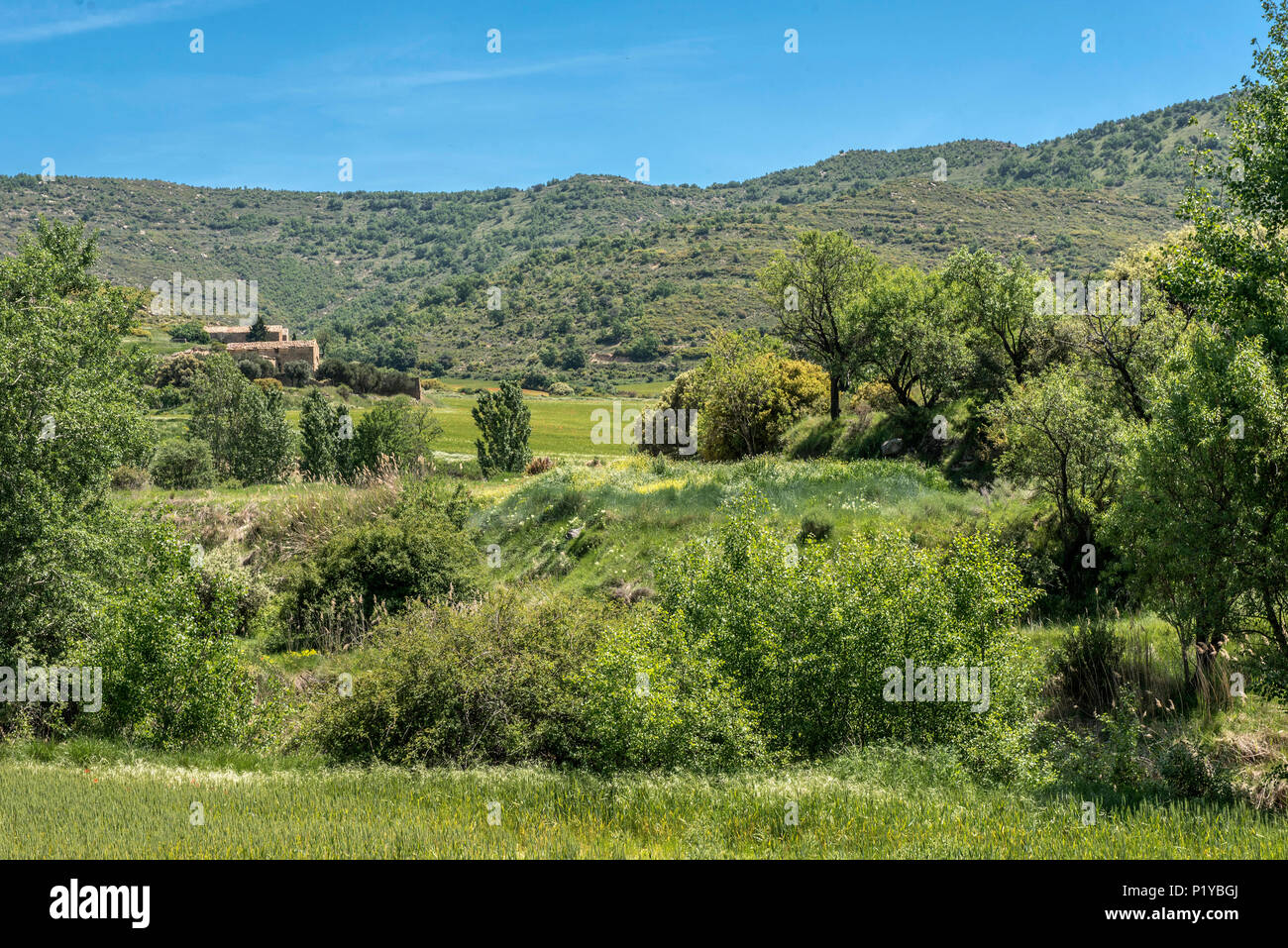 Spain, autonomous community of Aragon, rural lanscape Stock Photo - Alamy