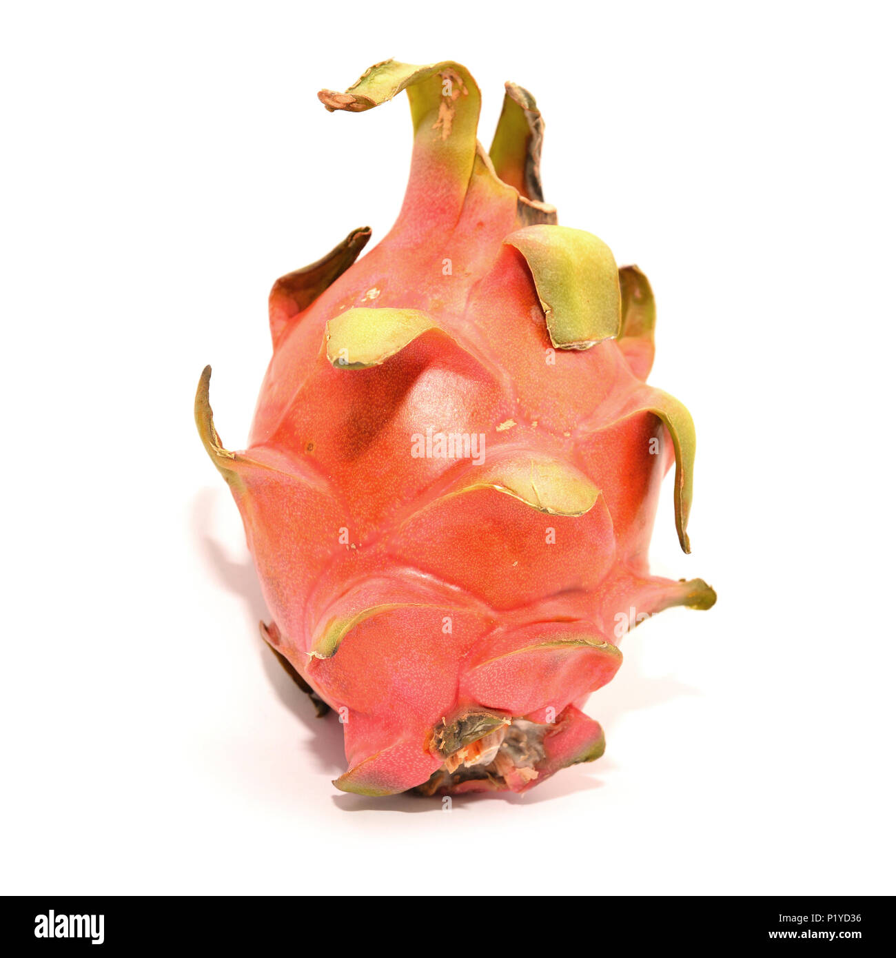 Exotic dragon Cut Out Stock Images & Pictures - Alamy