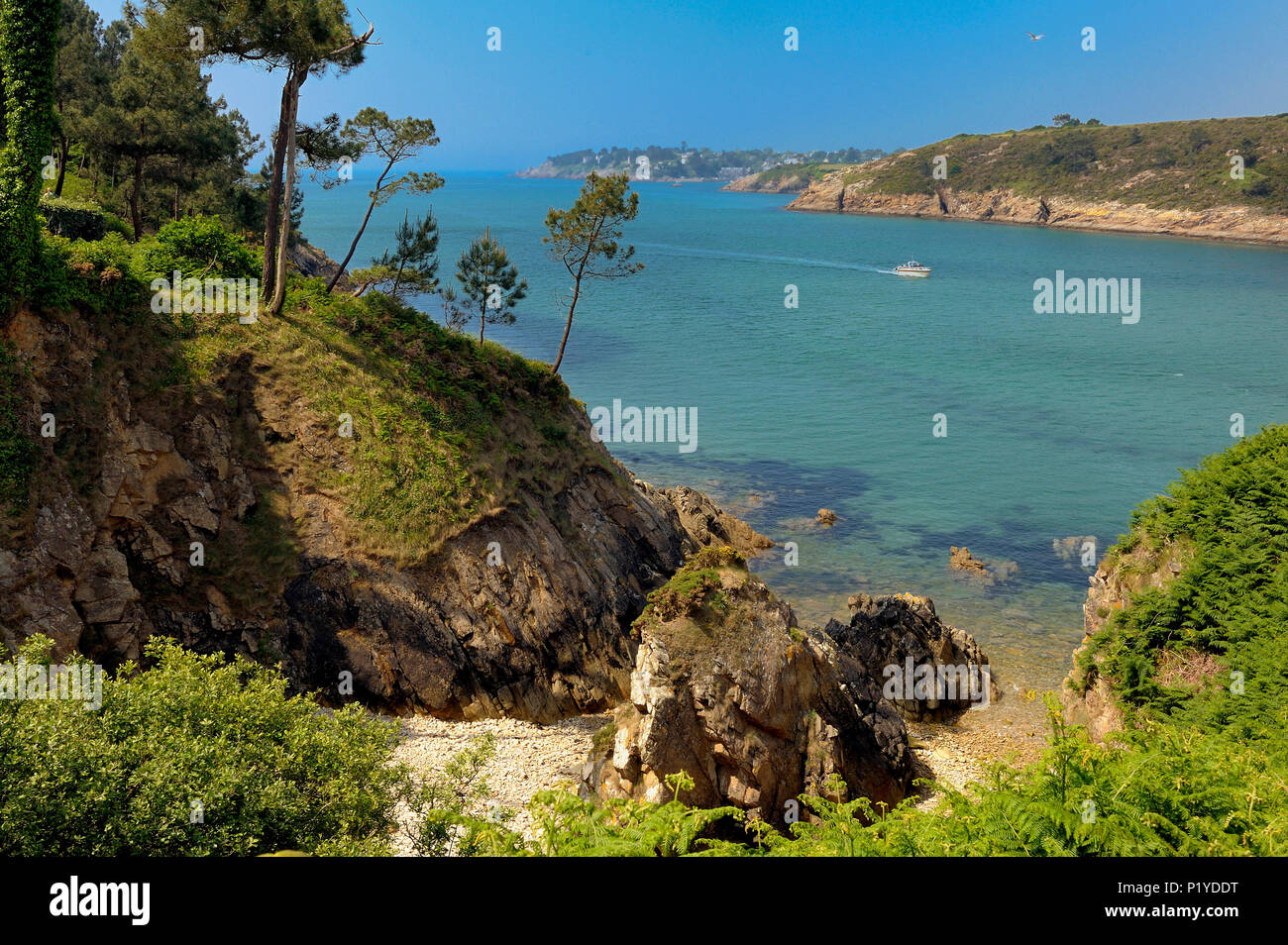 France, Brittany, Finistere, entrance of the Ria de Belon Stock Photo ...