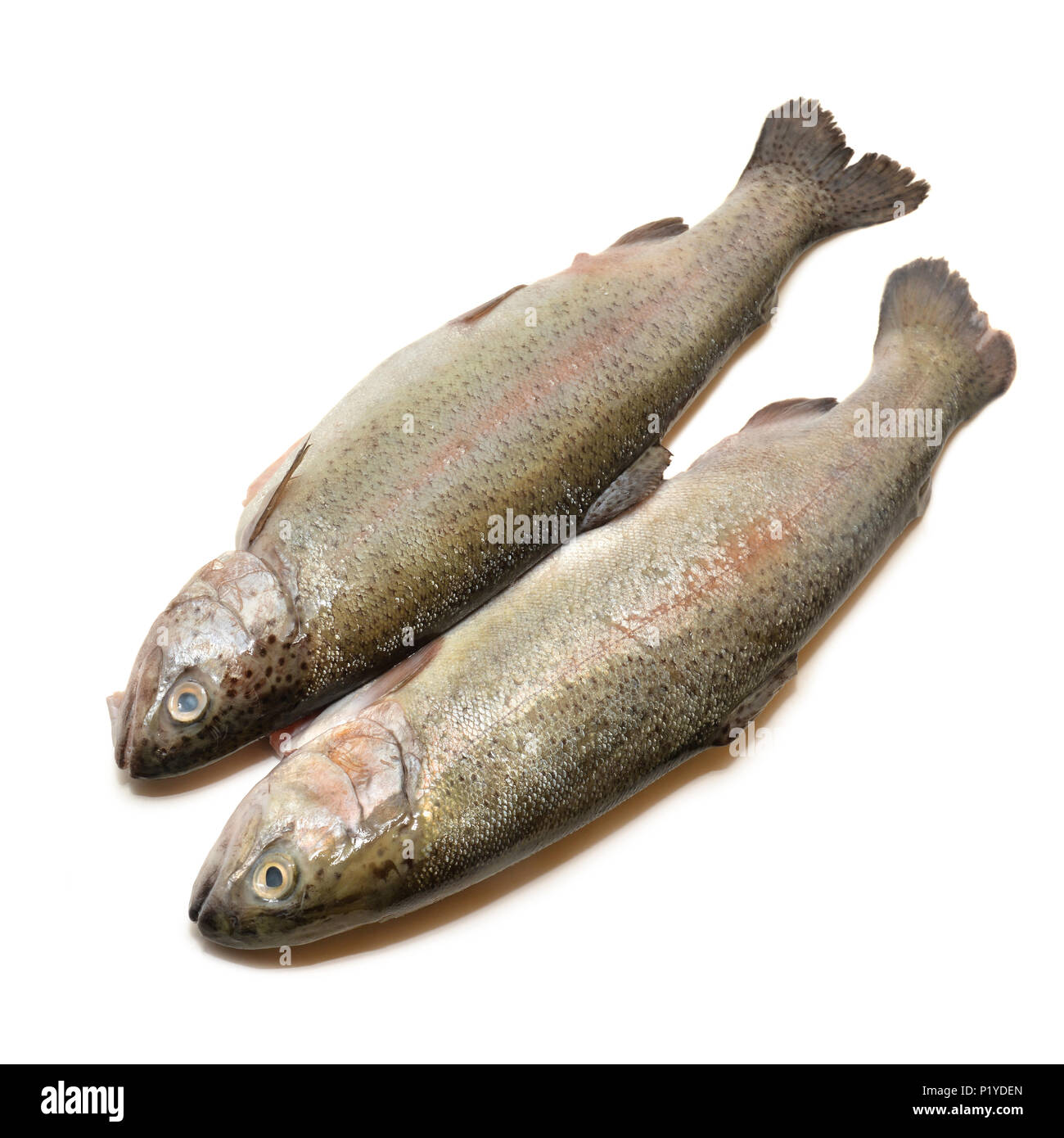 Eviscerated hi-res stock photography and images - Alamy