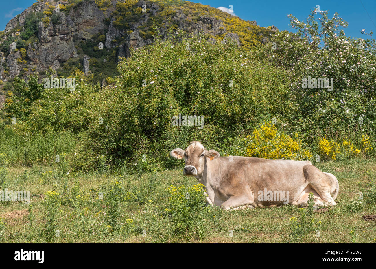 Riano castile leon spain hi-res stock photography and images - Alamy
