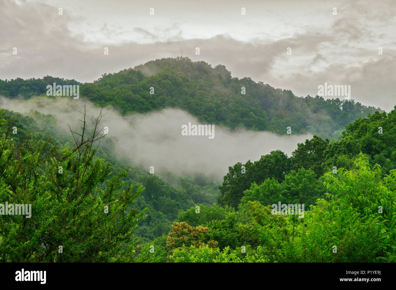 Southwestern virginia hi-res stock photography and images - Alamy