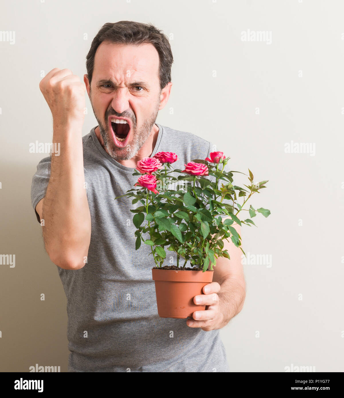 Yell Flowers High Resolution Stock Photography and Images - Alamy