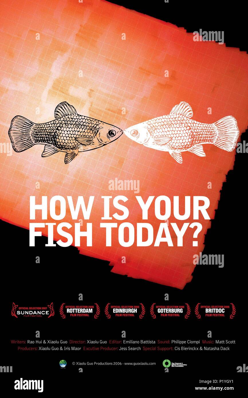 Original Film Title: JIN TIAN DE YU ZEN ME YANG?. English Title: HOW IS ...