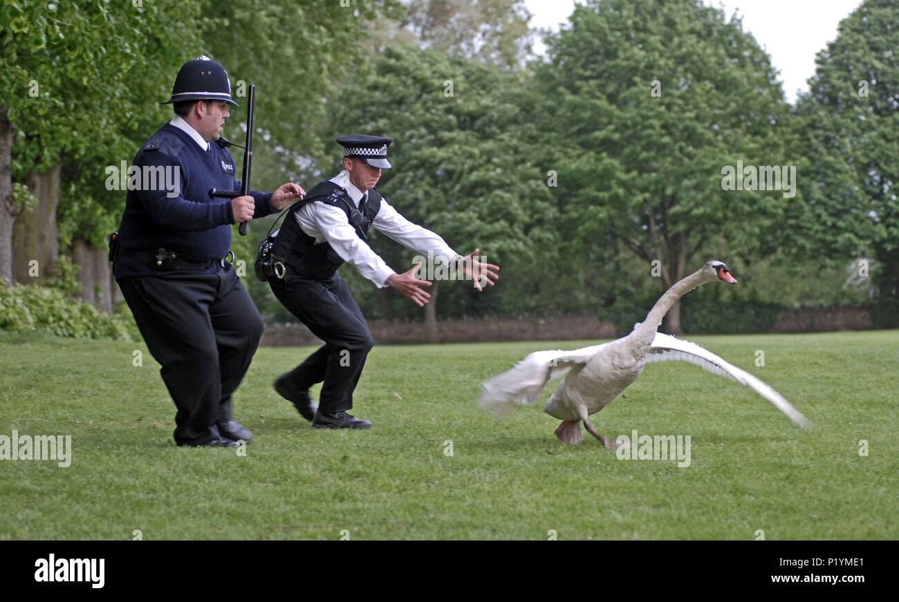 Original Film Title: HOT FUZZ. English Title: HOT FUZZ. Film Director ...