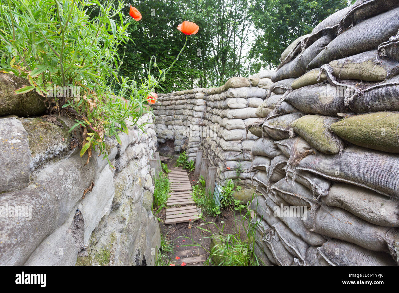 World war i trenches system hi-res stock photography and images - Alamy
