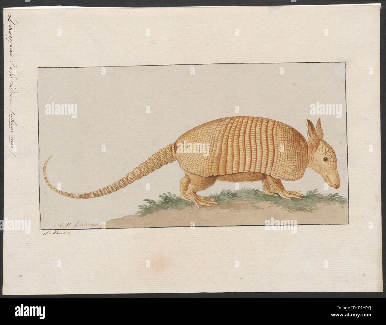 1834 75 hi-res stock photography and images - Alamy