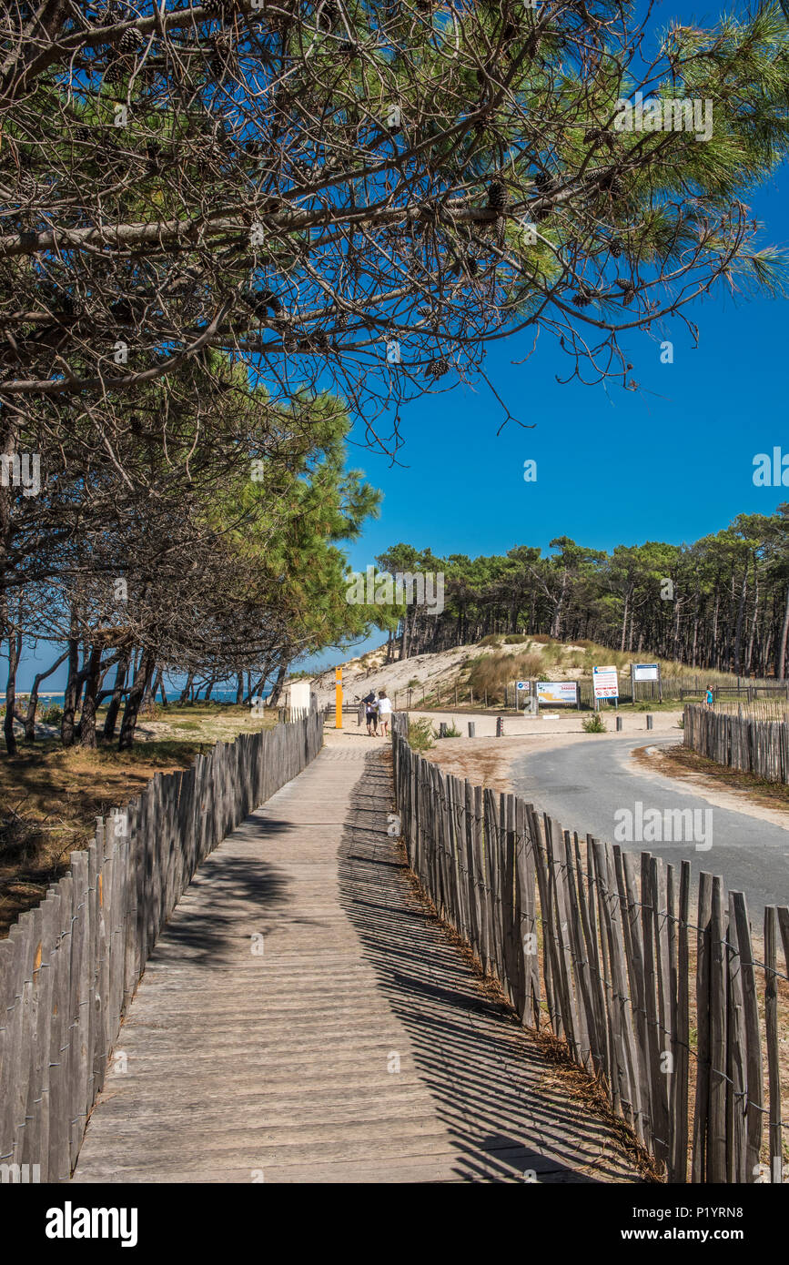 France, Arcachon Bay, pedestrian access to the Petit-Nice beach by a ...