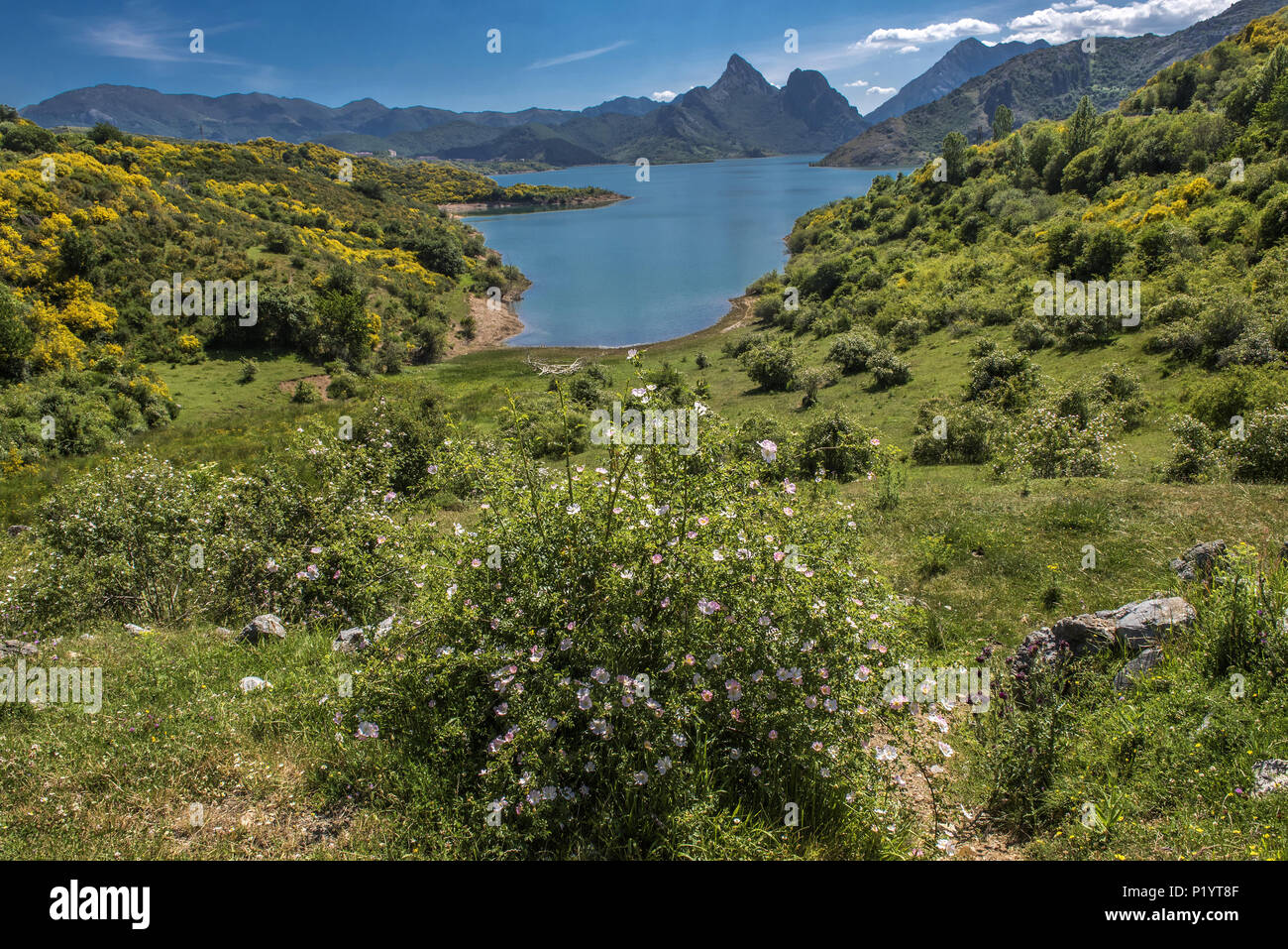 Lake st leon hi-res stock photography and images - Alamy