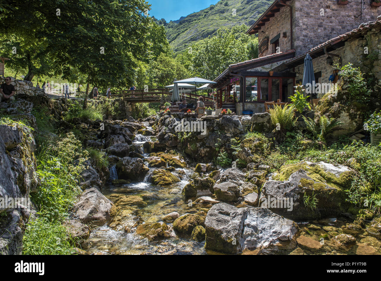 Spain, National park of los Picos de Europa, Bulnes mountains, river ...