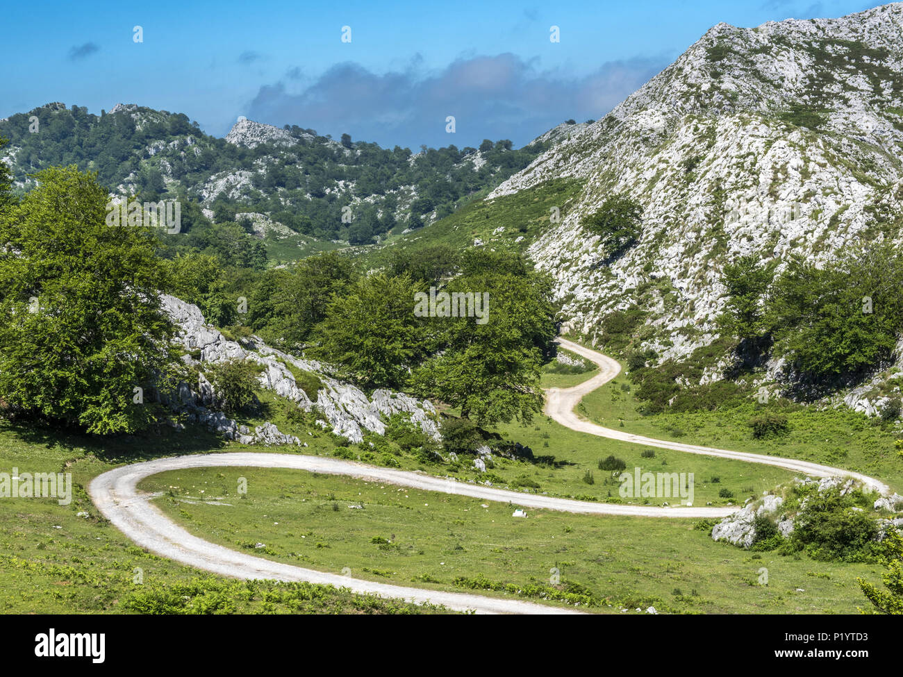 Bended Road High Resolution Stock Photography and Images - Alamy