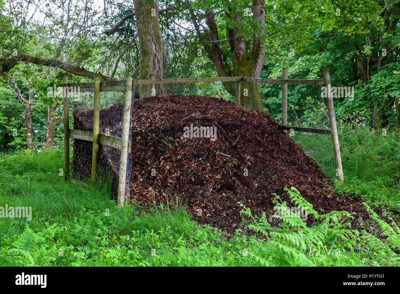 Dead leaves for compost hi-res stock photography and images - Alamy
