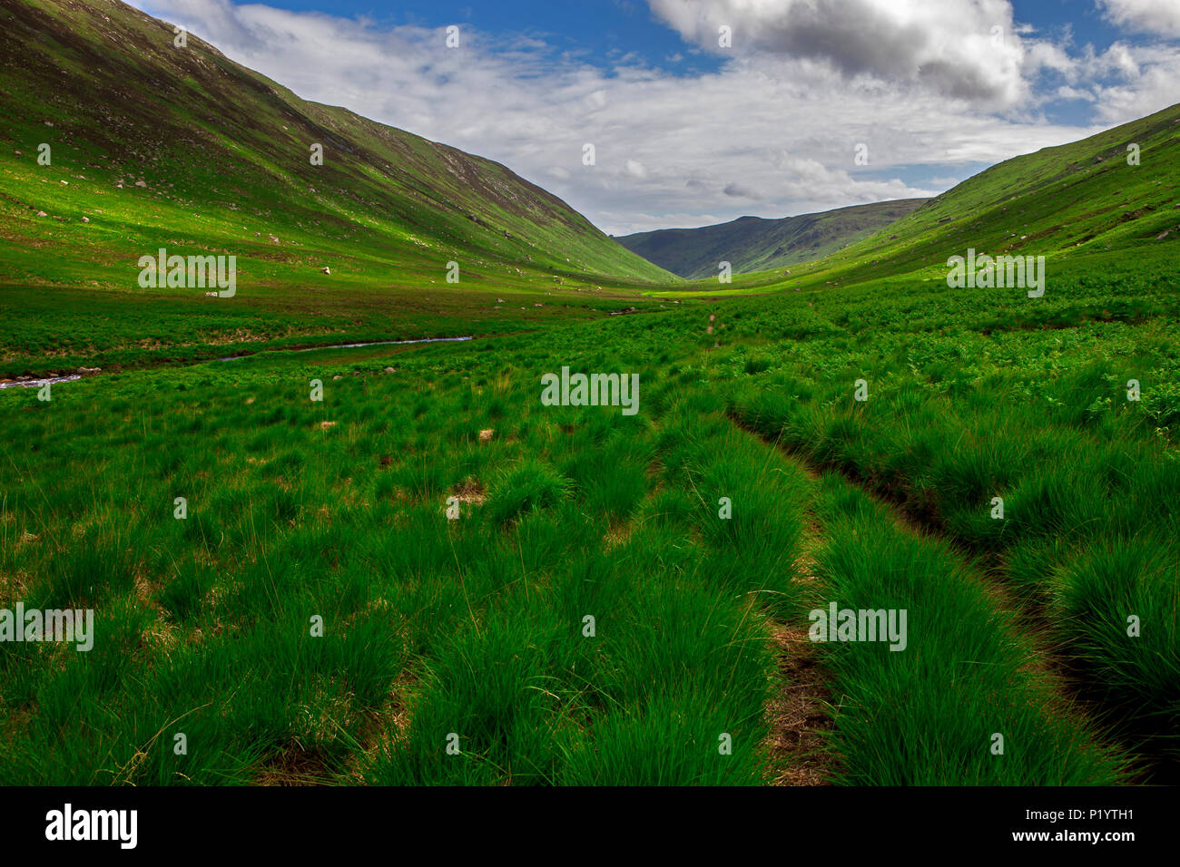 Scotland, Isle of Arran, Glen Rosa Stock Photo - Alamy
