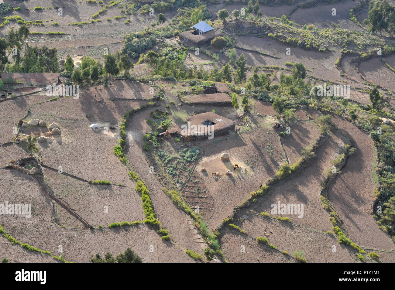 Ethiopia tigray agriculture hi-res stock photography and images - Alamy
