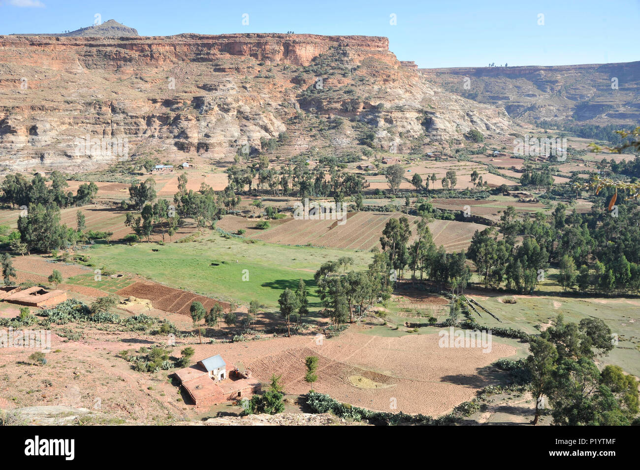 Tigray High Resolution Stock Photography and Images - Alamy