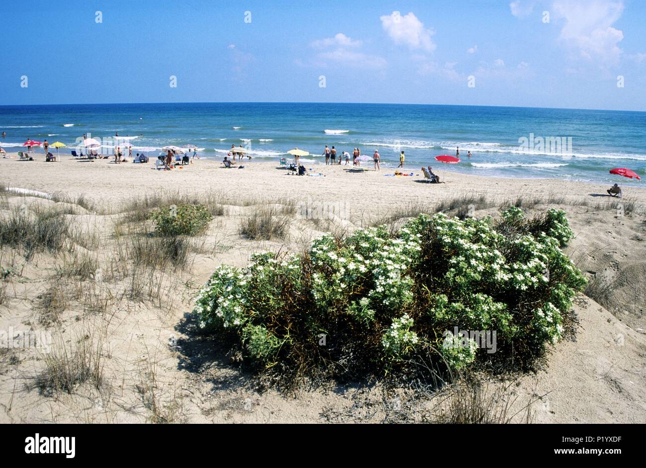 El Mareny Blau beach and dunes near Sueca (comarca de La Ribera Baixa ...