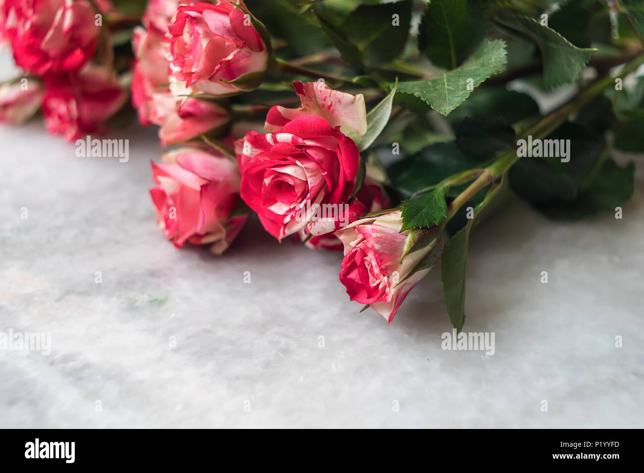 Pink marble top hi-res stock photography and images - Alamy