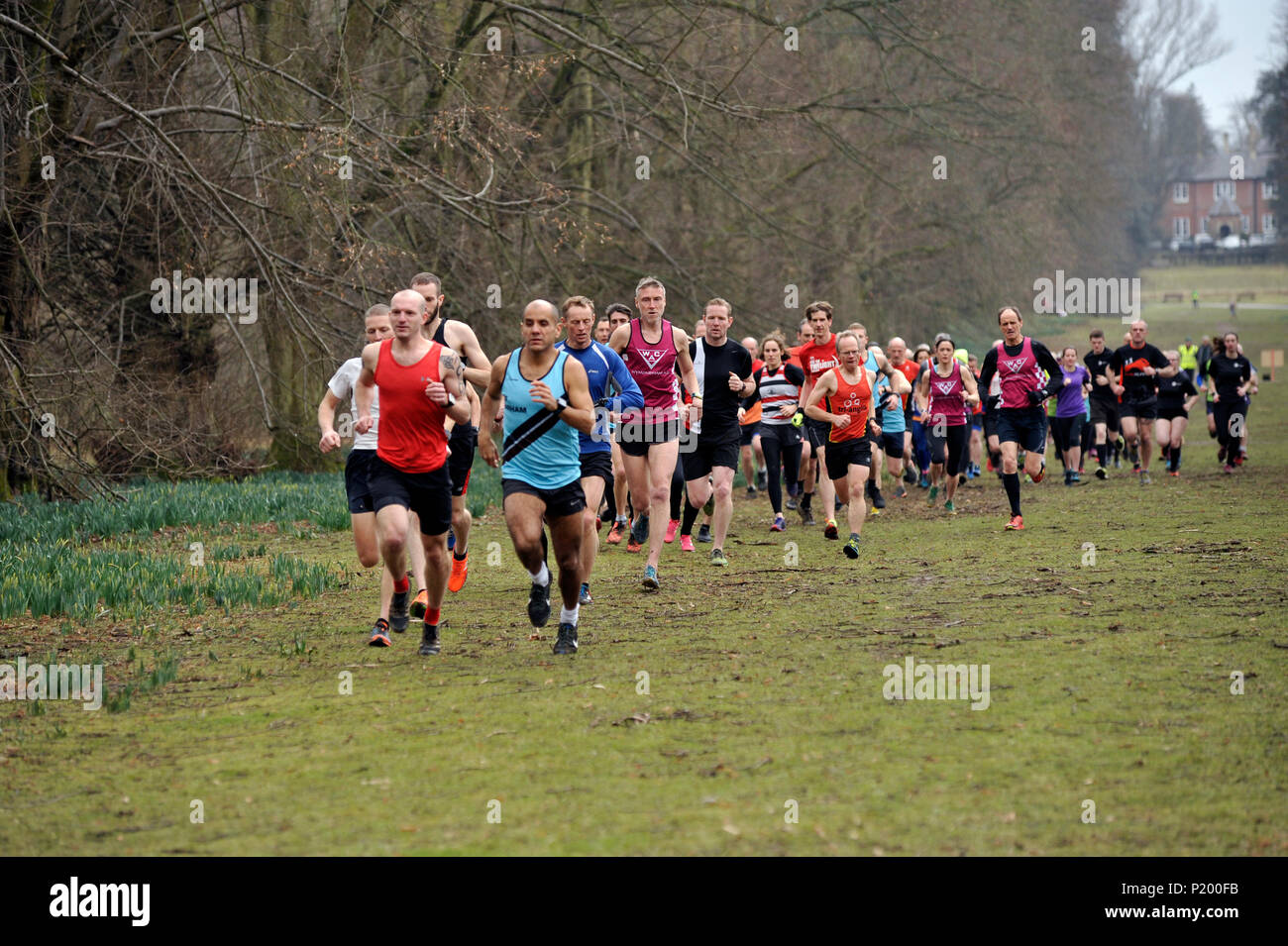 group of running enthusiasts at start of park run bury st edmunds ...