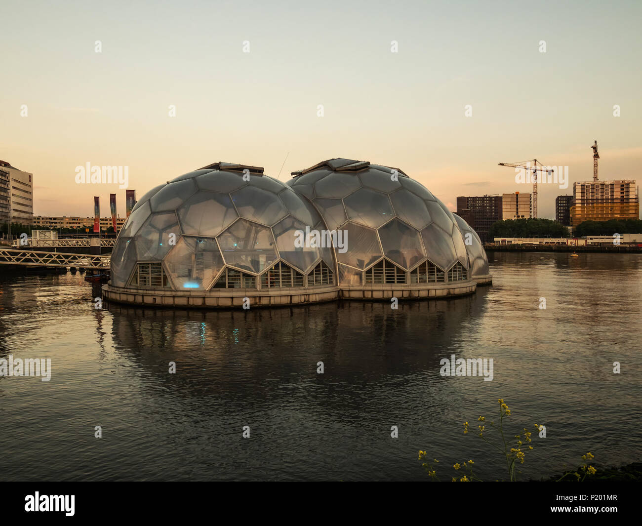 ROTTERDAM, NETHERLANDS - MAY 31, 2018: The "dobberbos" is a forest on ...