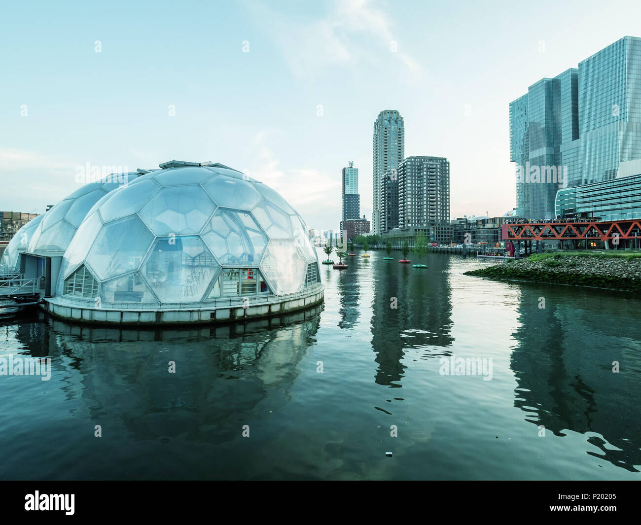 ROTTERDAM, NETHERLANDS - MAY 31, 2018: The "dobberbos" is a forest on ...