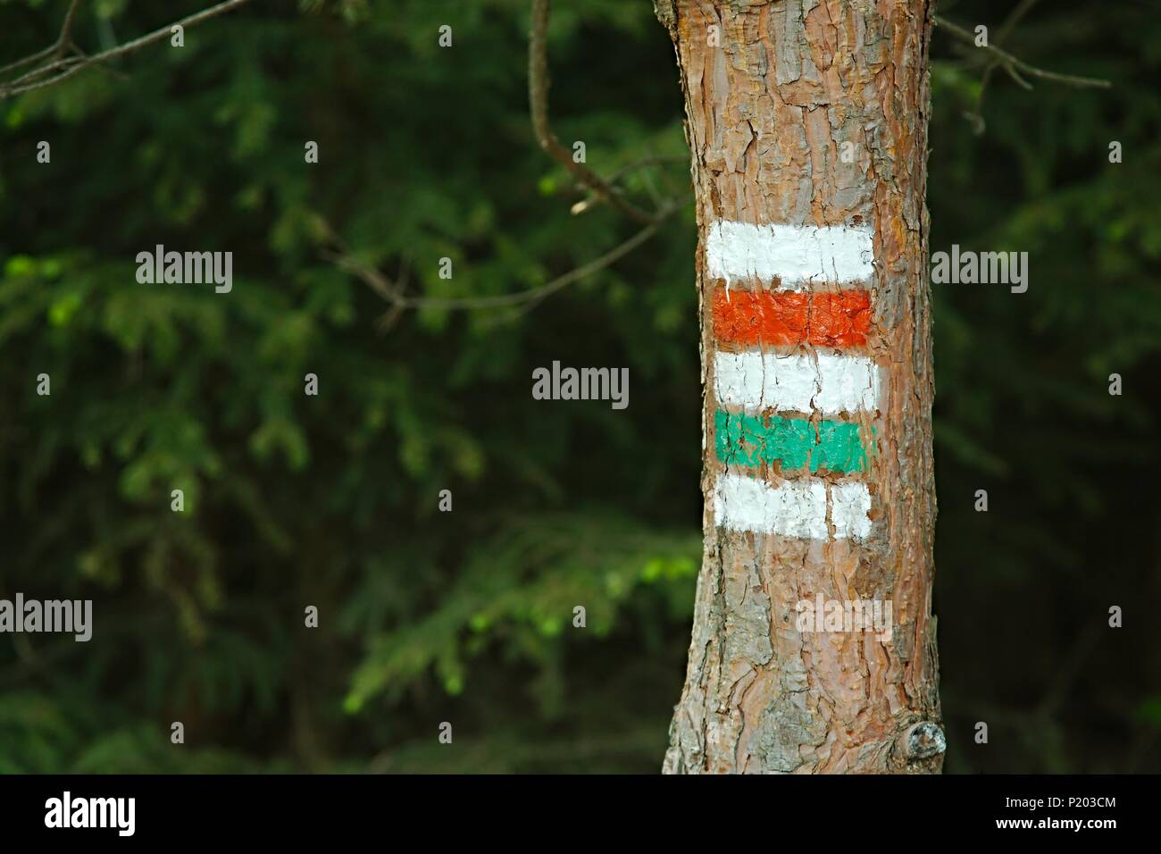 Hiking Trail Signs Stock Photo Alamy hiking-trail-signs-stock-photo-alamy