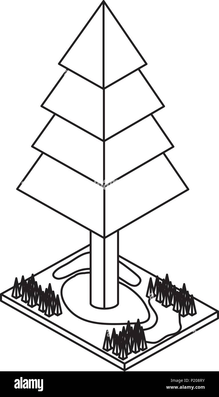 pine tree plant isometric icon Stock Vector Image & Art - Alamy
