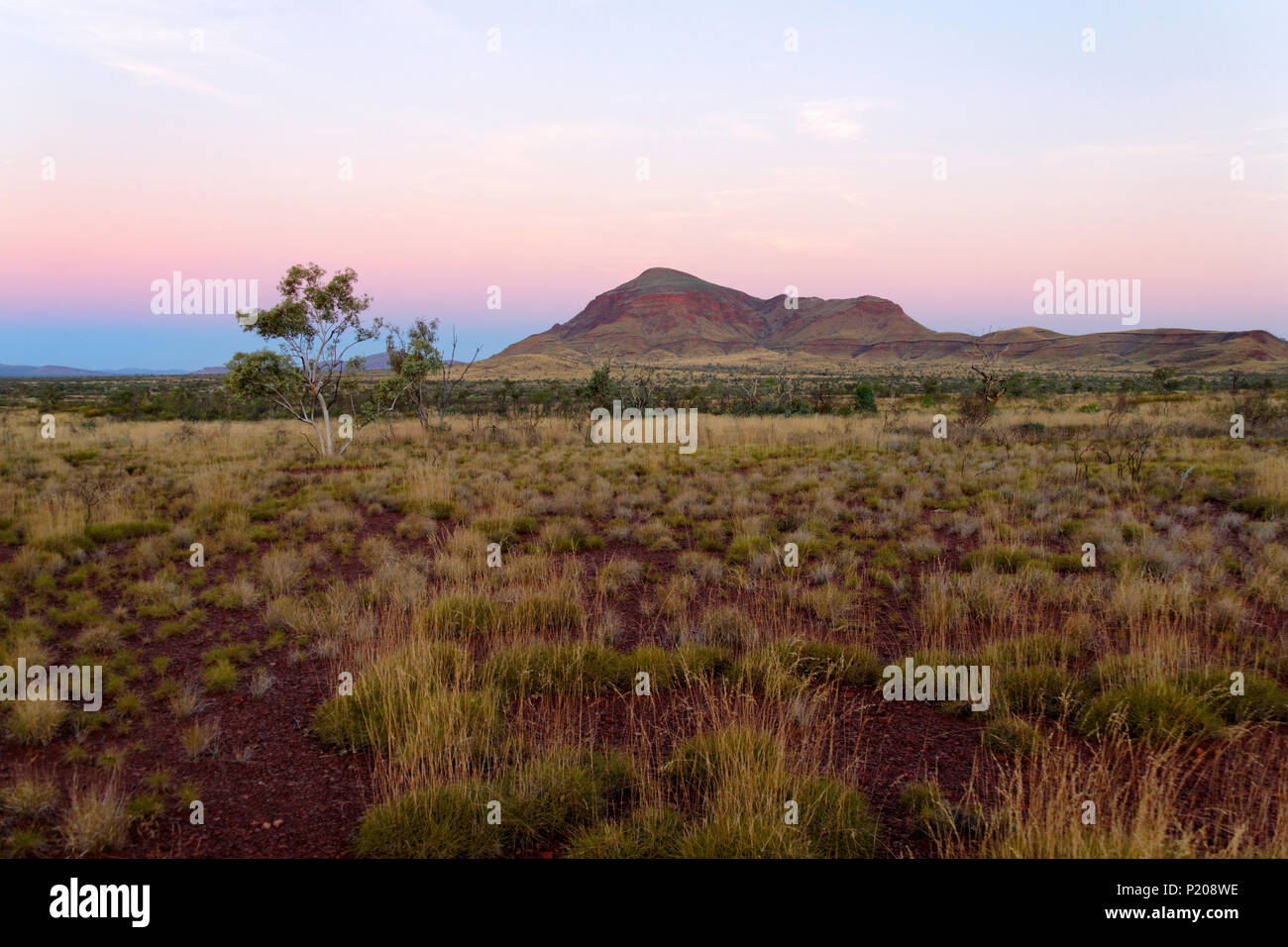 Mount Bruce in outback landscape, Pilbara, Northwest Australia Stock ...