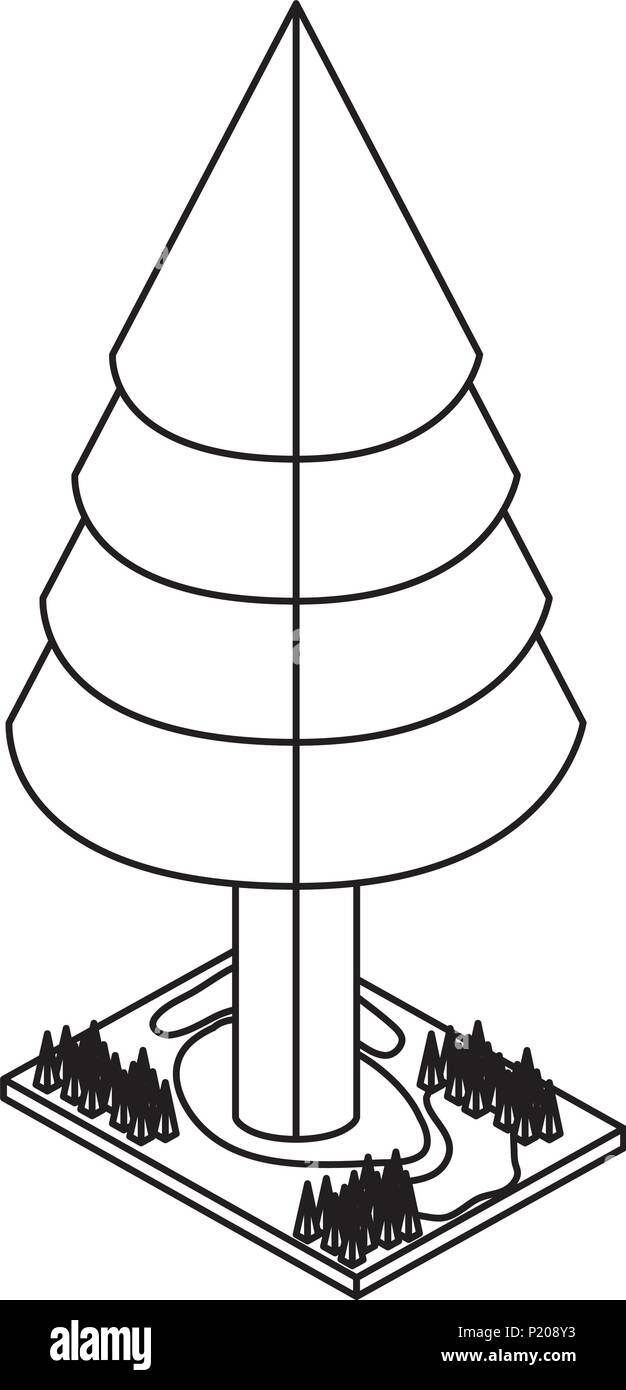 pine tree plant isometric icon Stock Vector Image & Art - Alamy