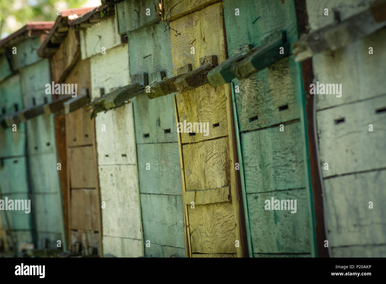 Bee hives wooden beehive hi-res stock photography and images - Alamy