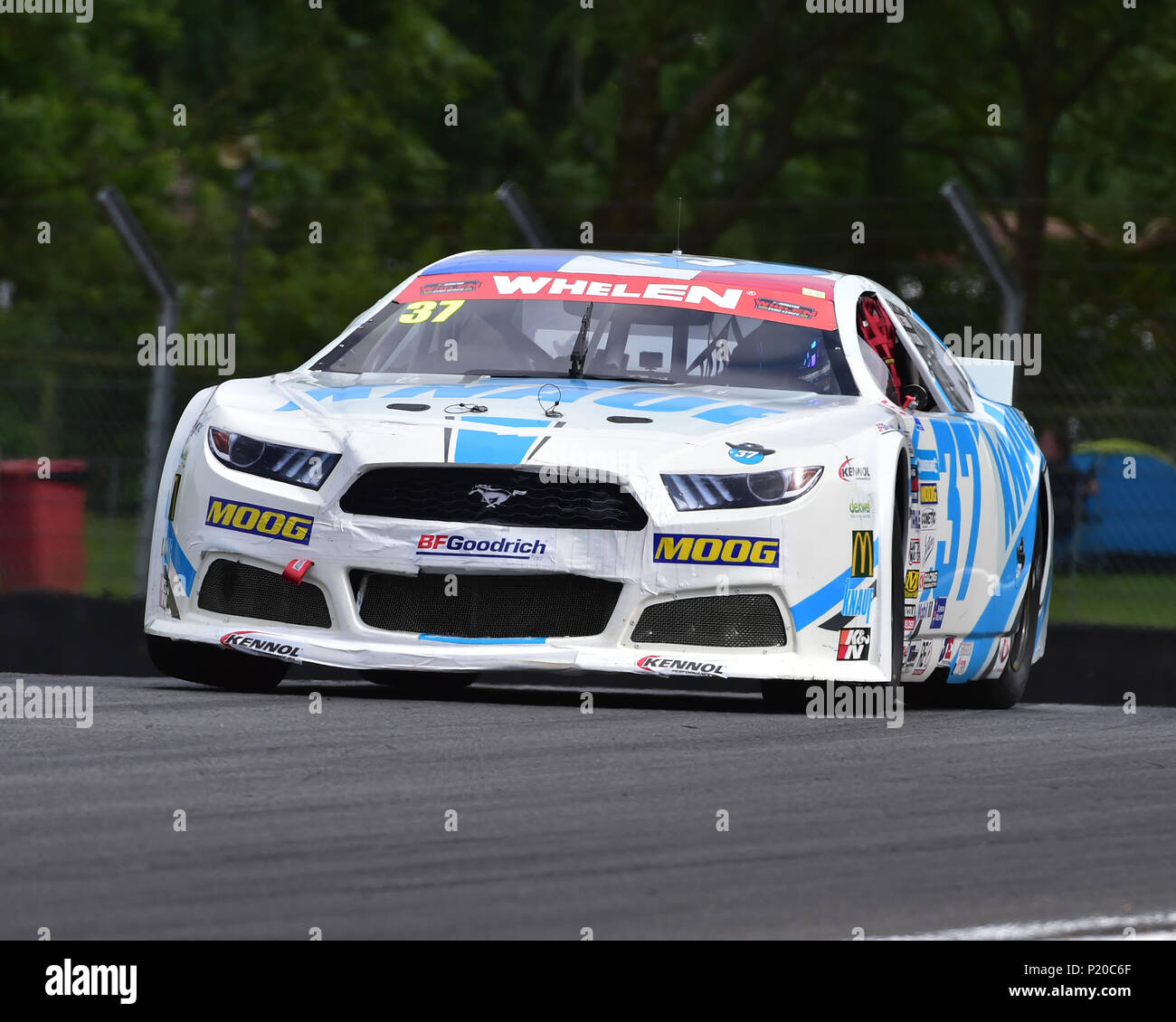 Thomas Ferrando, Wilfried Boucenna, Ford Mustang, NASCAR, Whelen Euro ...