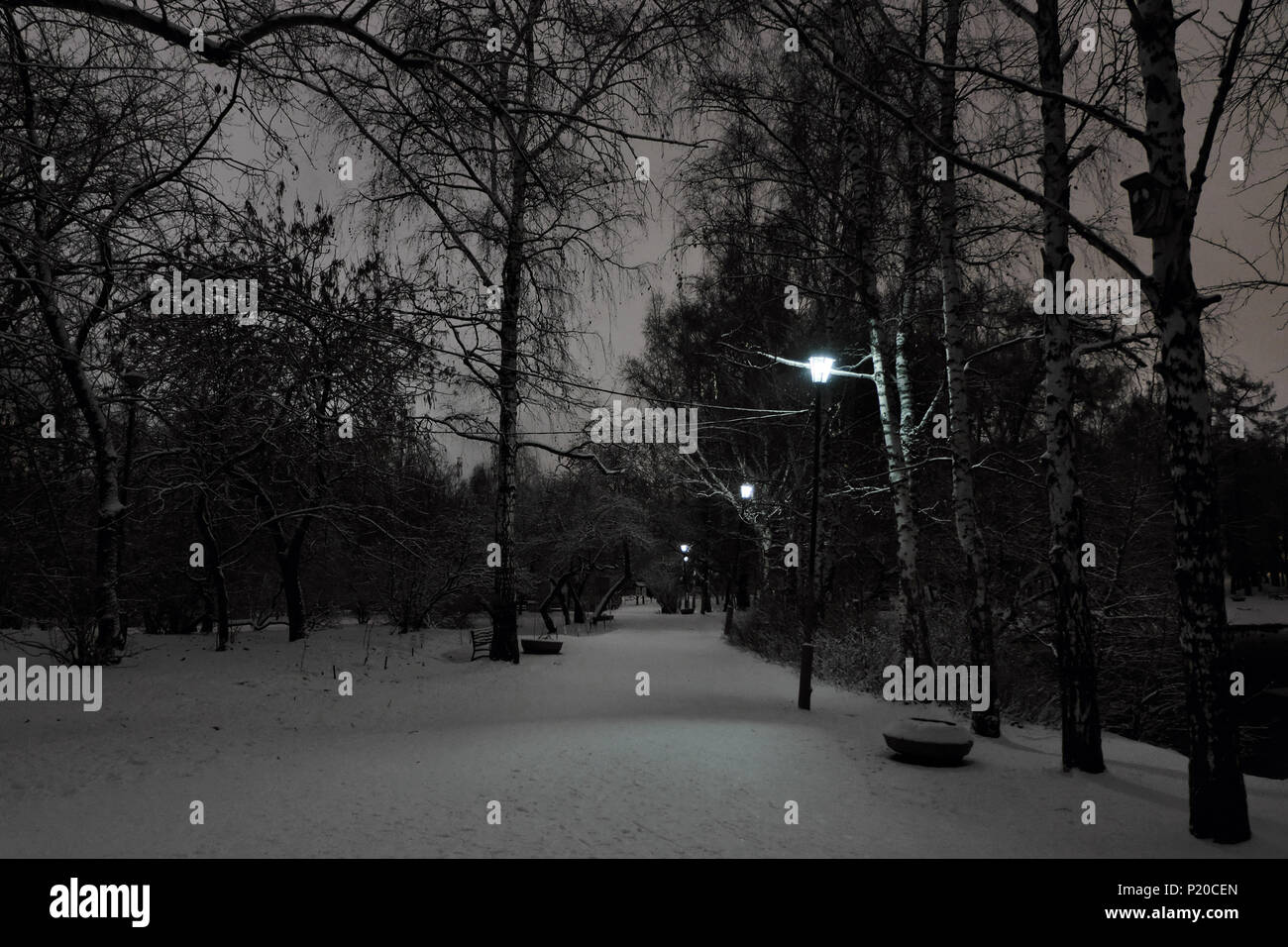 Beautiful night winter road hi-res stock photography and images - Alamy