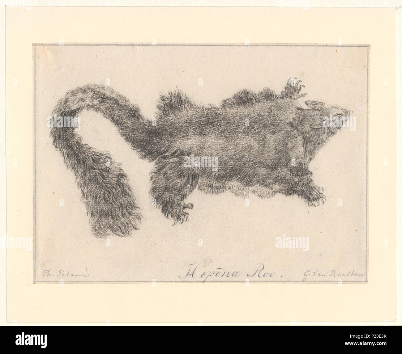 . Hepoona roo . between 1700 and 1880 146 Hepoona roo - 1700-1880 ...