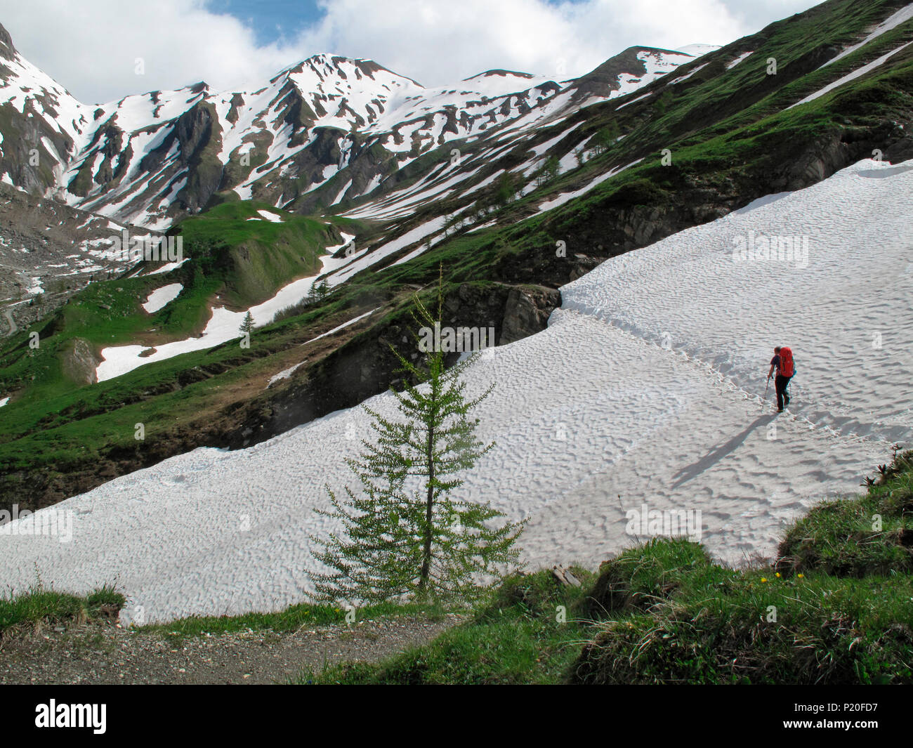 Italia,Aoste valley, Ferret valley,tour du mont blanc, a man is ...