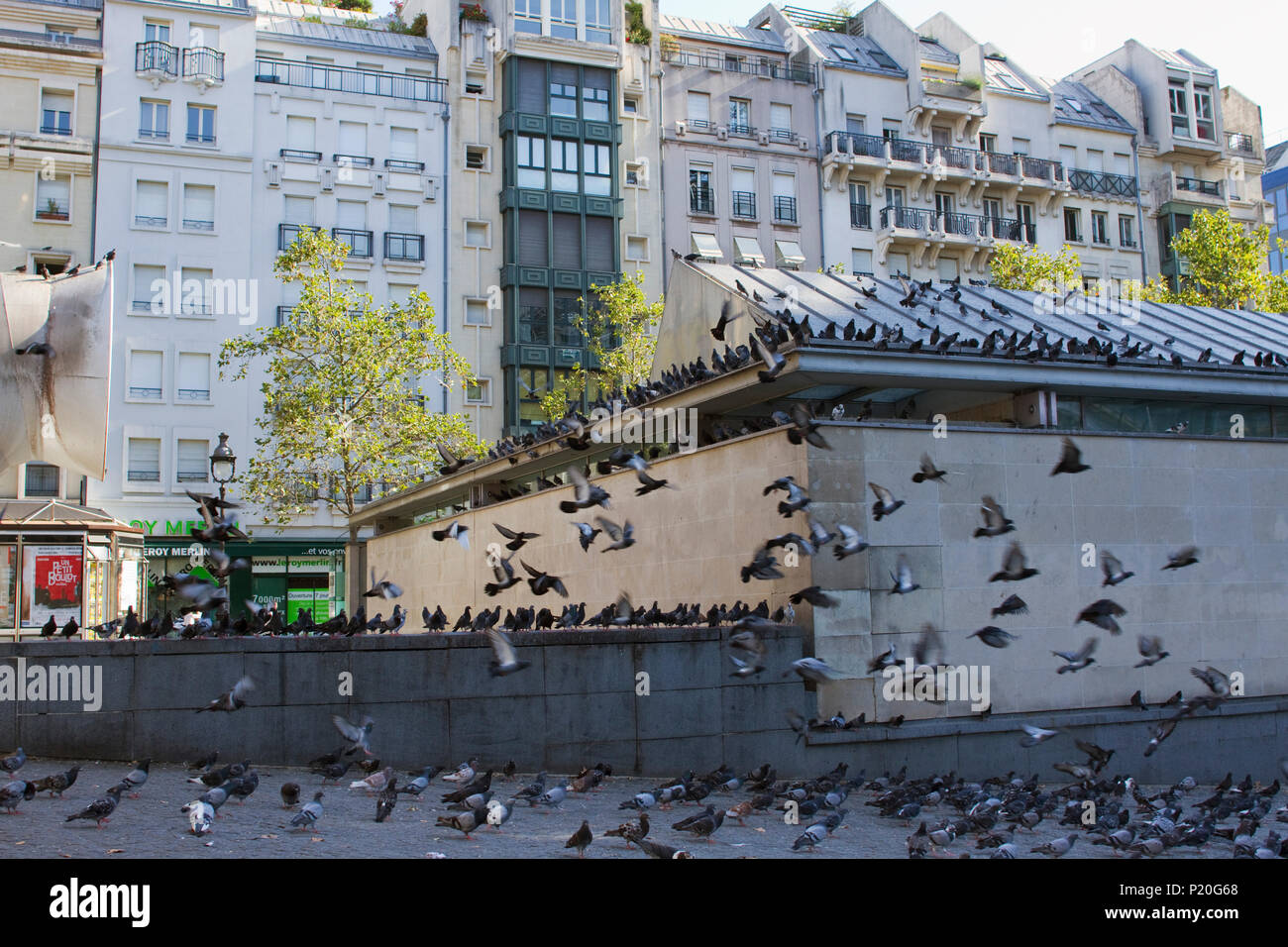France, Paris, esplanade of the Centre Georges Pompidou, pigeons Stock ...