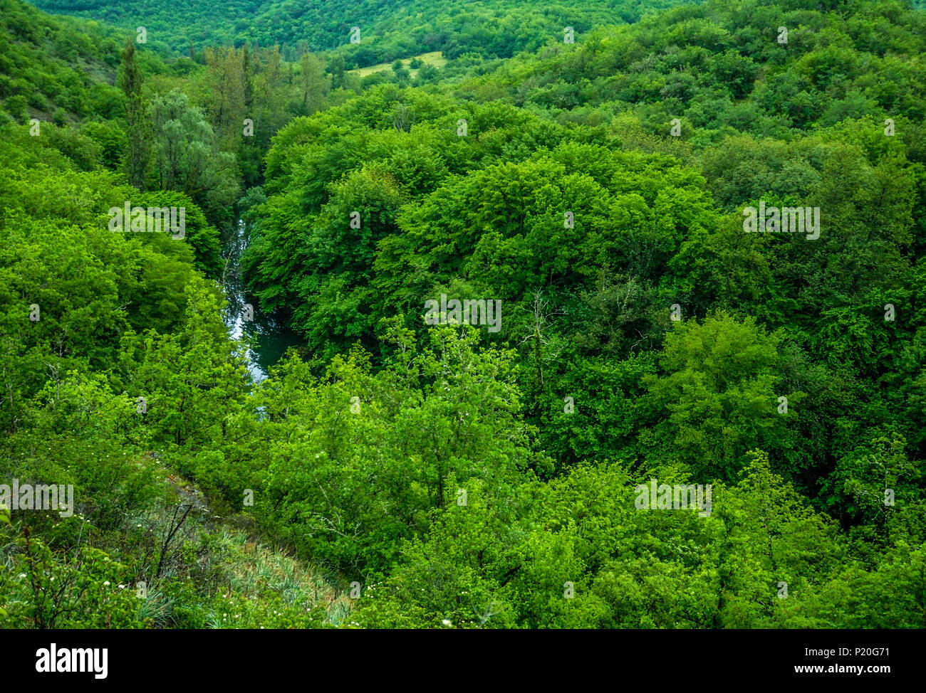 France, Lot, Causses du Quercy regional natural park, Causse de Gramat ...
