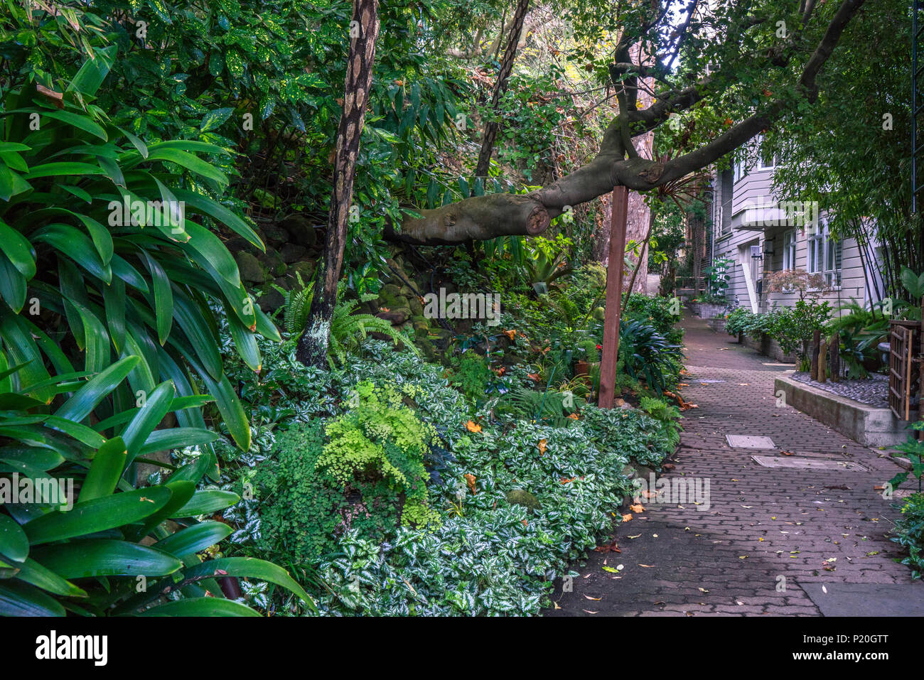 Macondray lane hi-res stock photography and images - Alamy