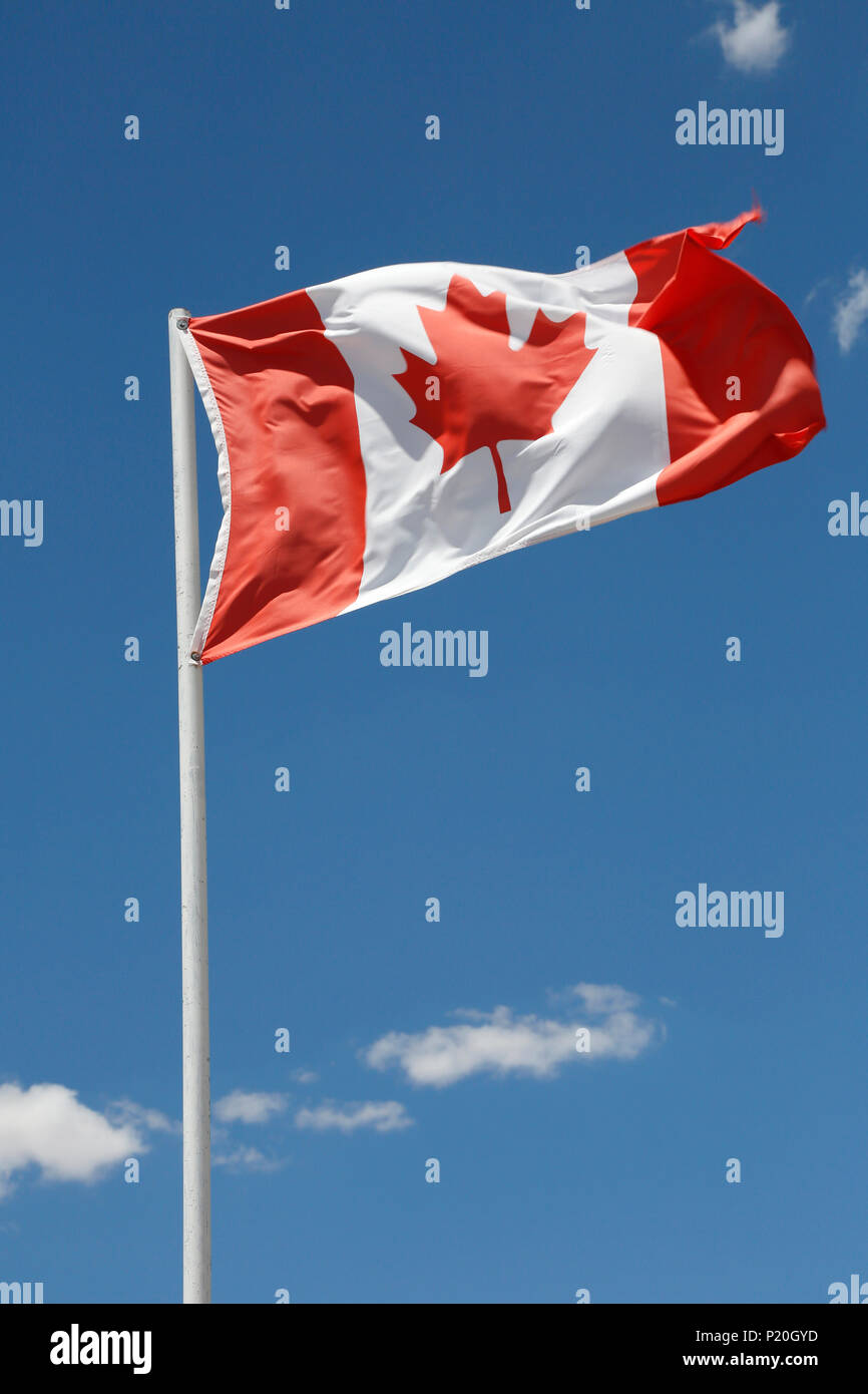 Canada flag blue sky hi-res stock photography and images - Alamy