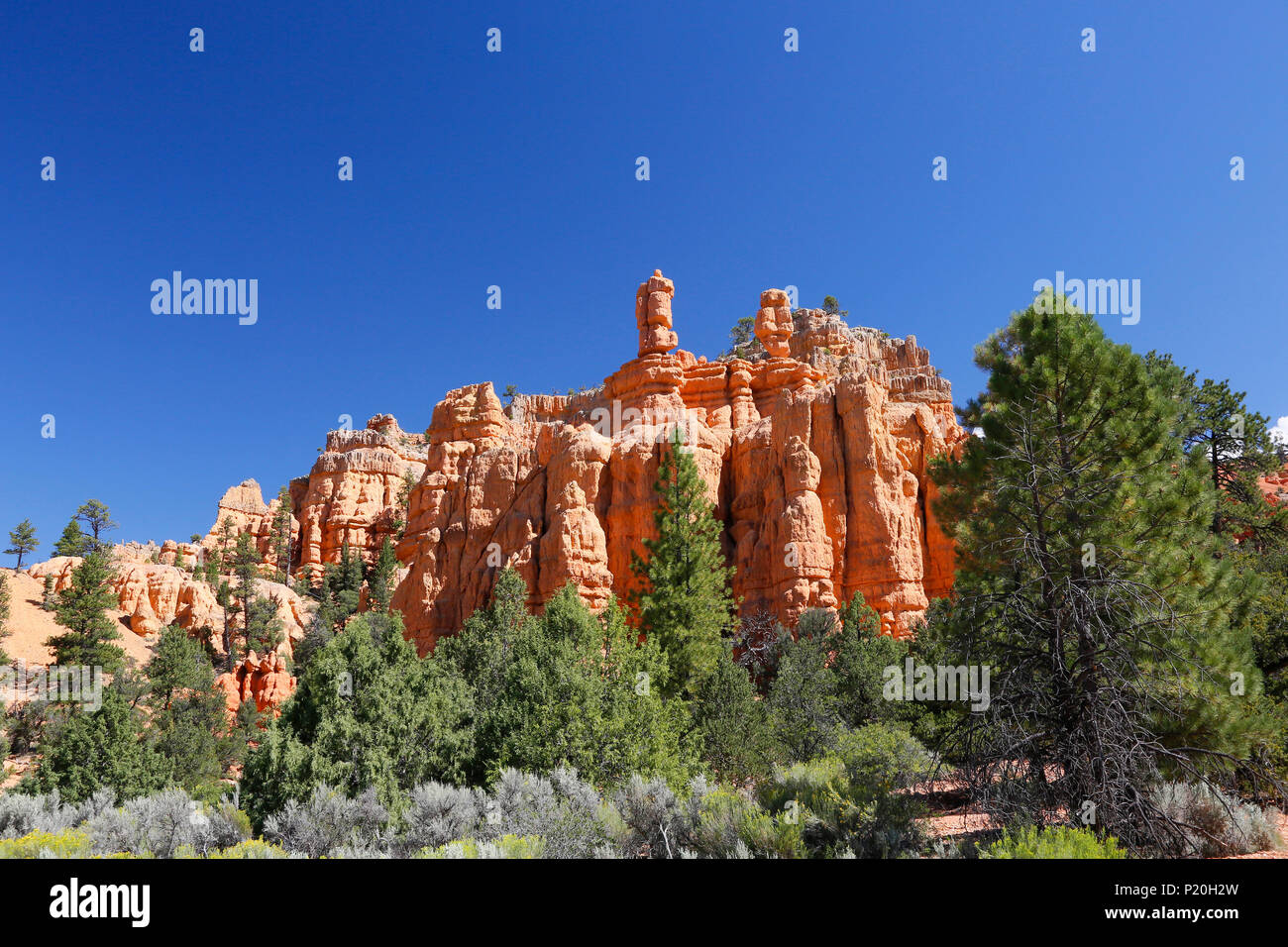 USA. Utah. Bryce Canyon area. Red Canyon Stock Photo - Alamy