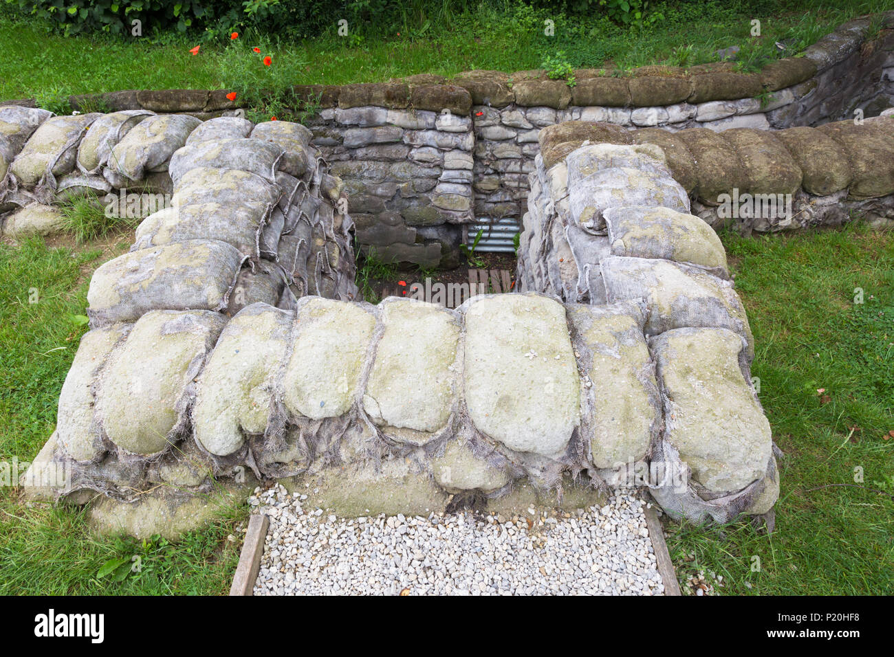 World war one trench system hi-res stock photography and images - Alamy