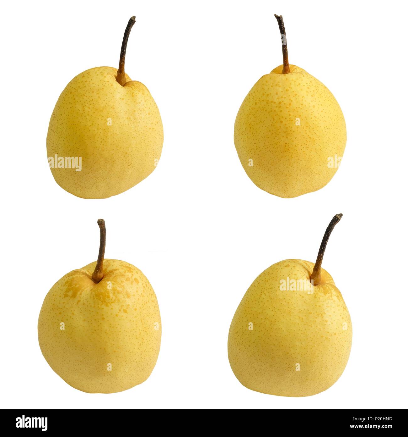 Fresh Fruits, Illustration of Delicious Sweet Nashi Pears, Asian Pears ...